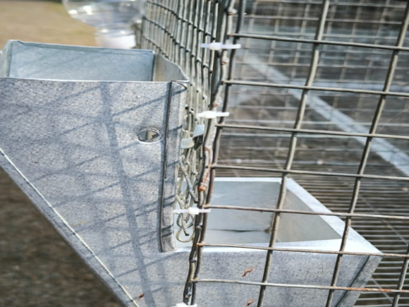 Shop – Safe Rabbit Farms